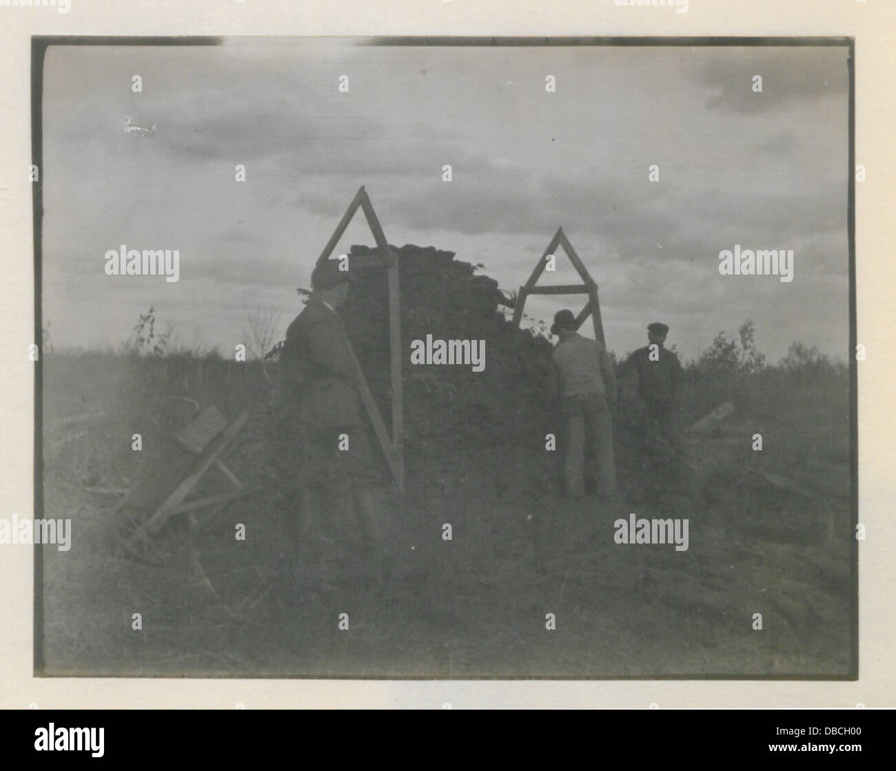 This image shows the process of peat manufacturing, where peat is ...