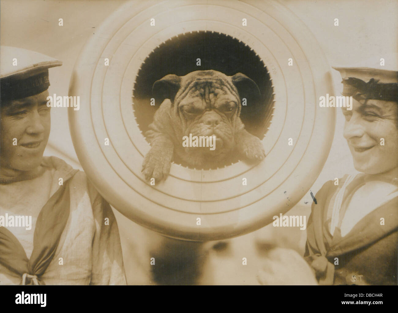 The pelorus hi-res stock photography and images - Alamy