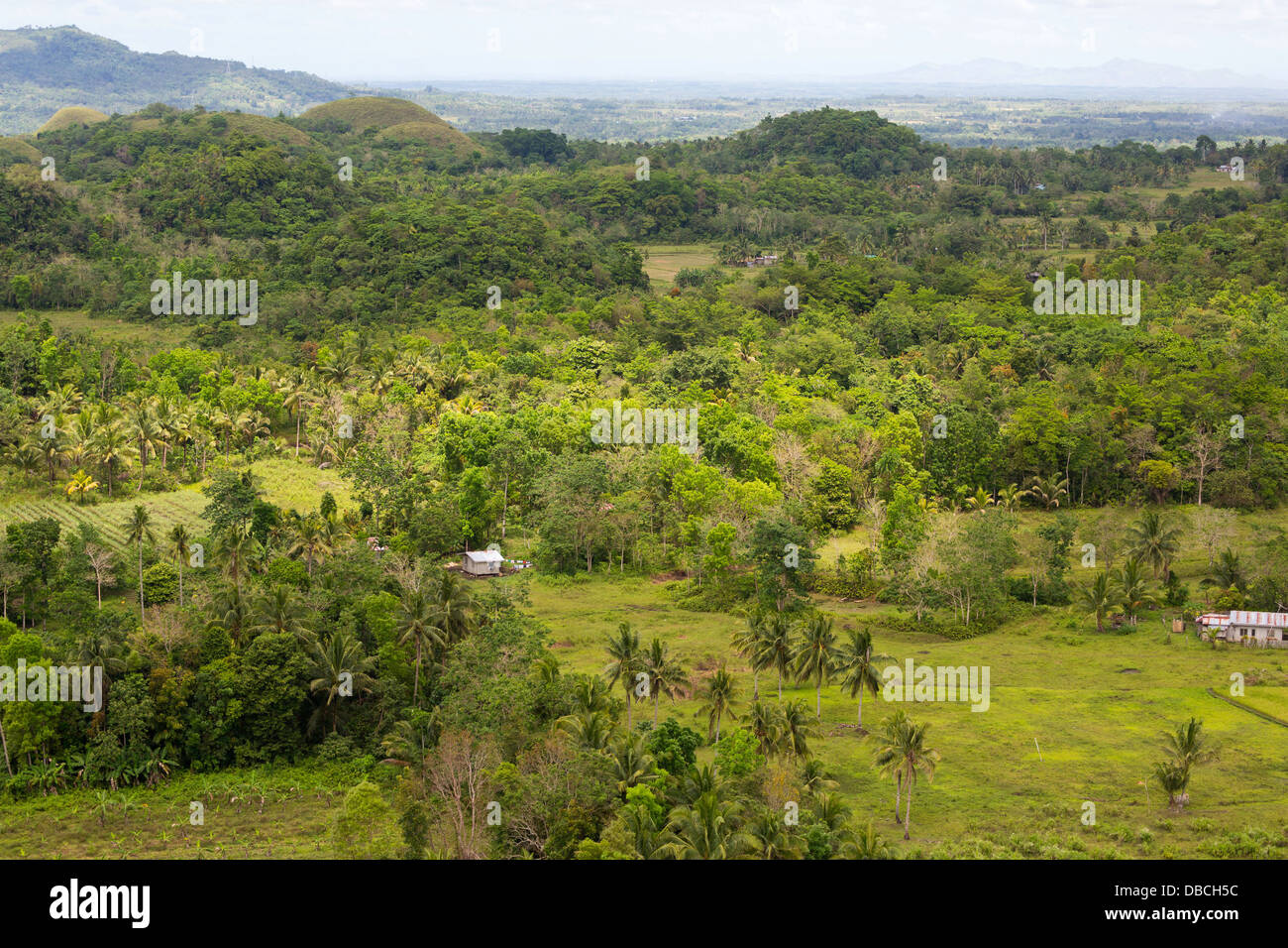 Typical Landscape on Bohol Island, Philippines Stock Photo - Alamy