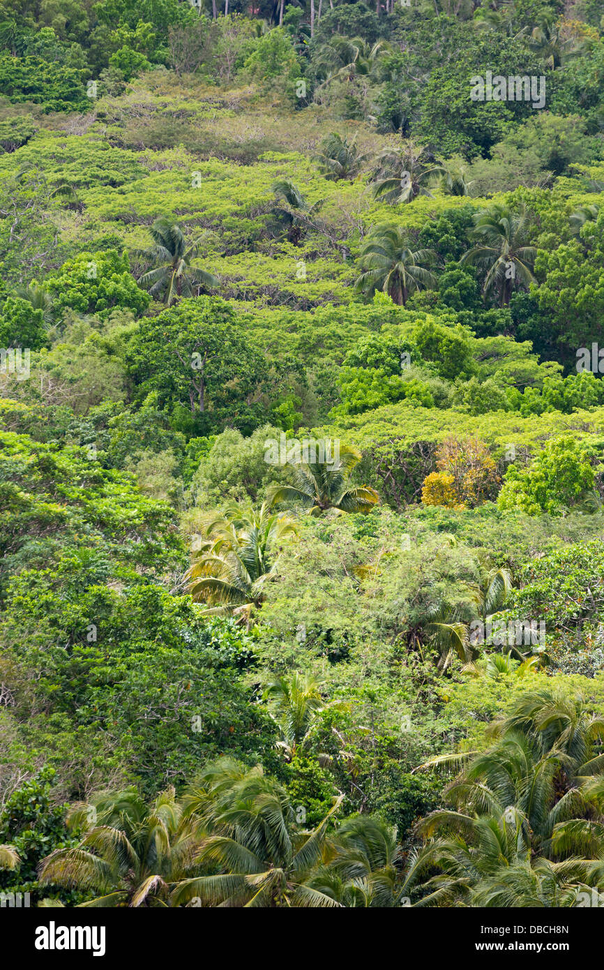 Typical Landscape on Bohol Island, Philippines Stock Photo - Alamy