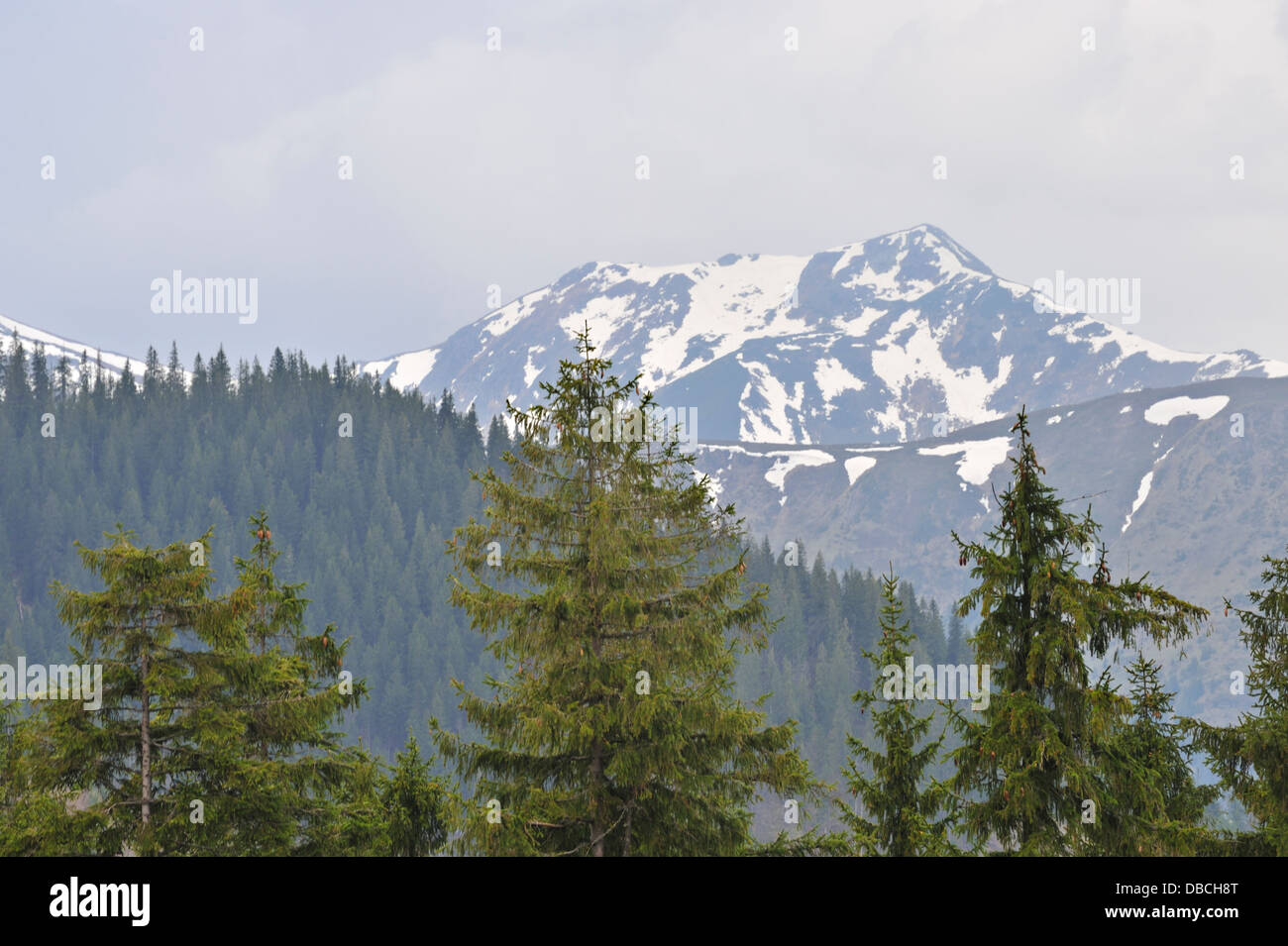 Maramures mountains hi-res stock photography and images - Alamy