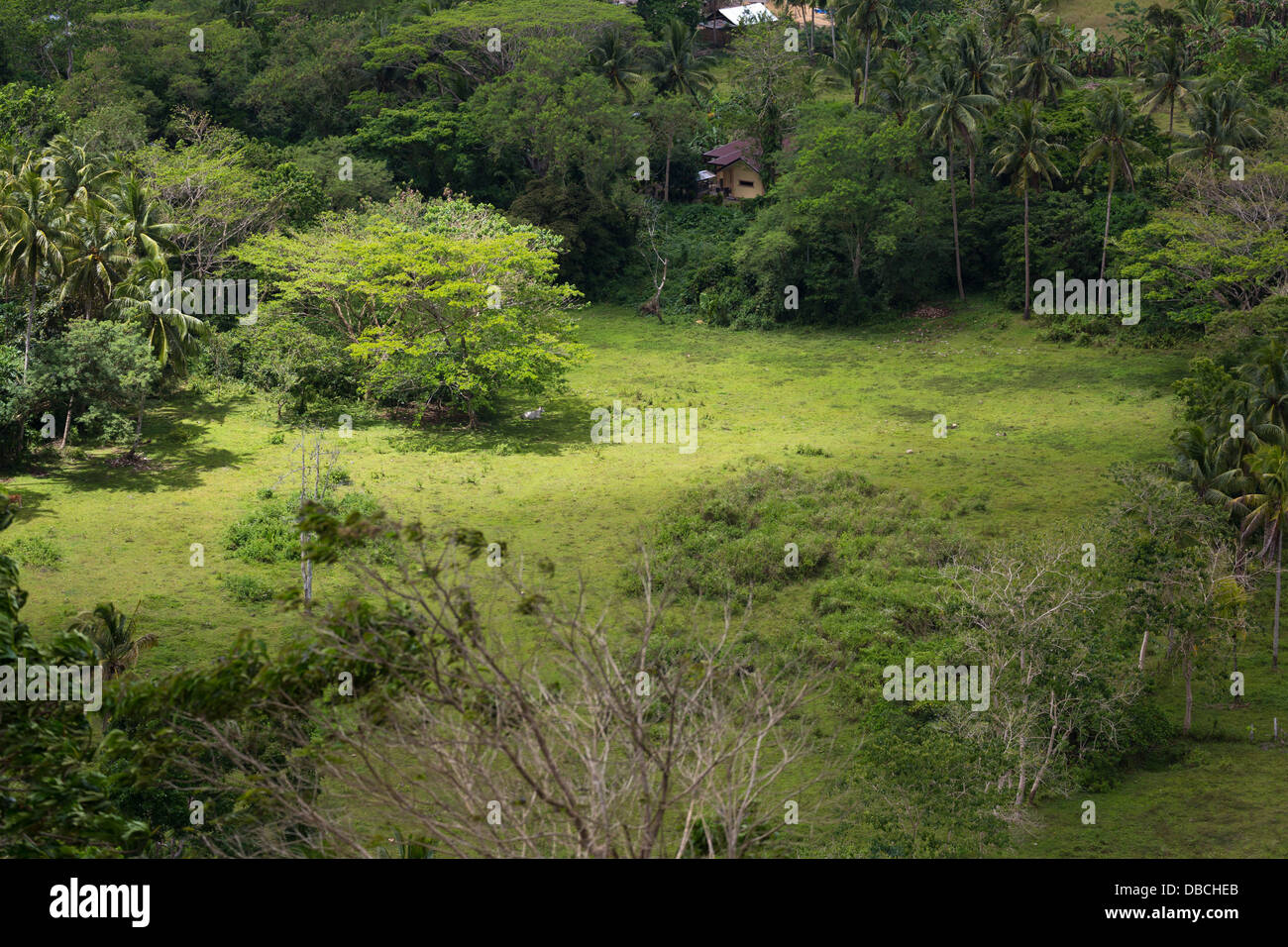 Typical Landscape on Bohol Island, Philippines Stock Photo - Alamy