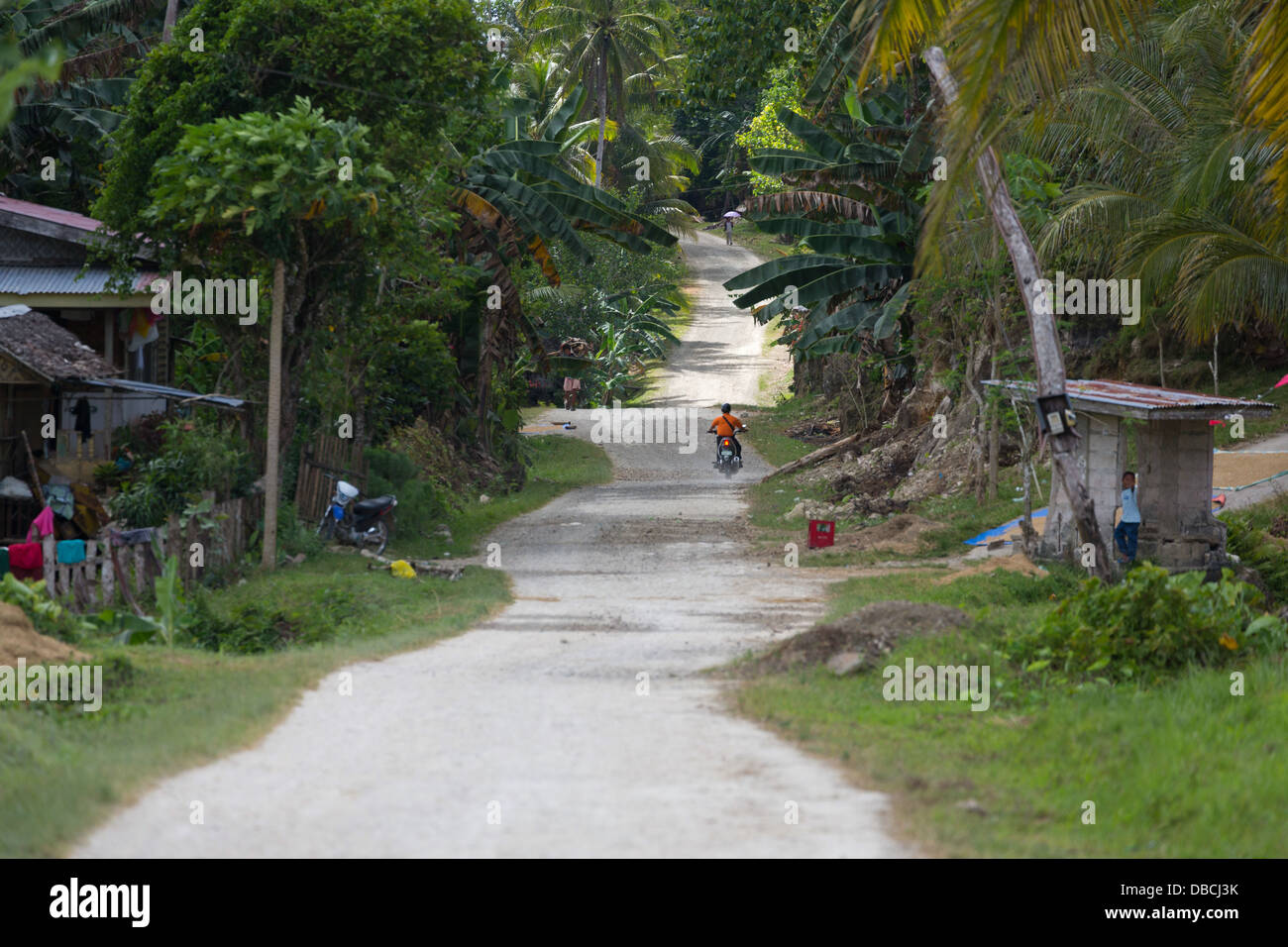 Rural Country Road on Bohol Island, Philippines Stock Photo - Alamy