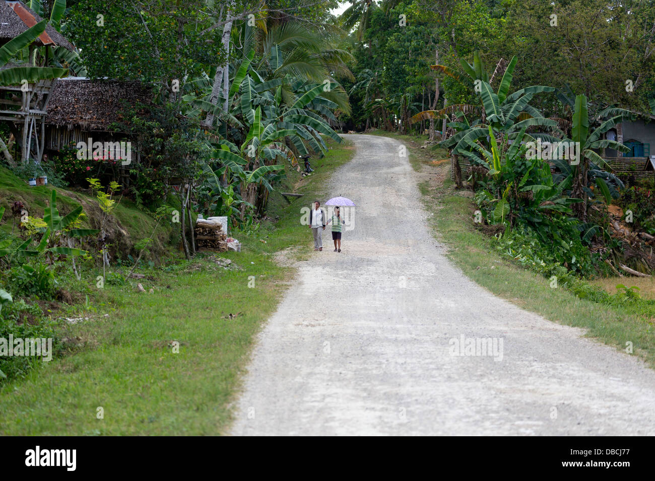 Rural Country Road on Bohol Island, Philippines Stock Photo - Alamy