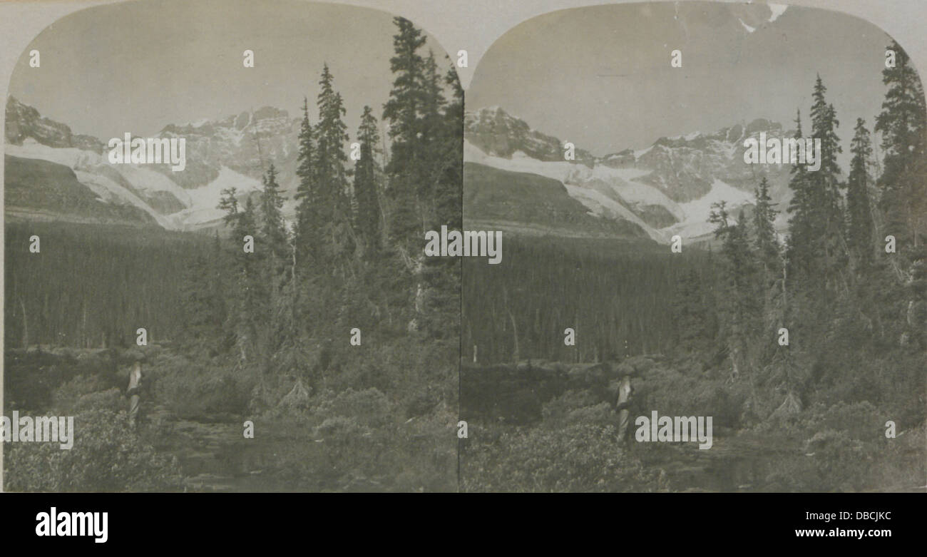 Scene Near Lake O'Hara (HS85-10-20293 Stock Photo - Alamy