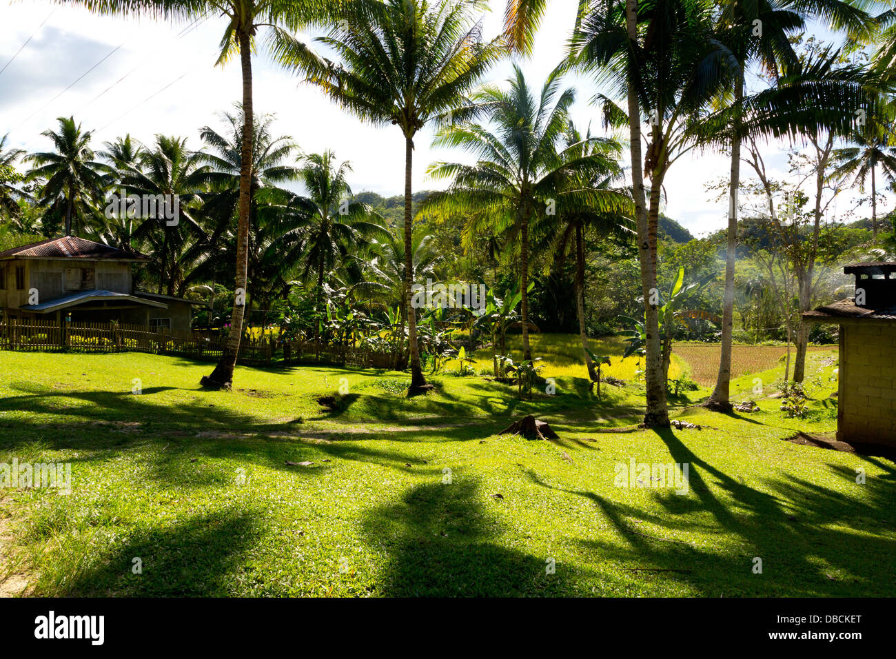 Tropical Landscape in the Countryside on Bohol Island, Philippines ...
