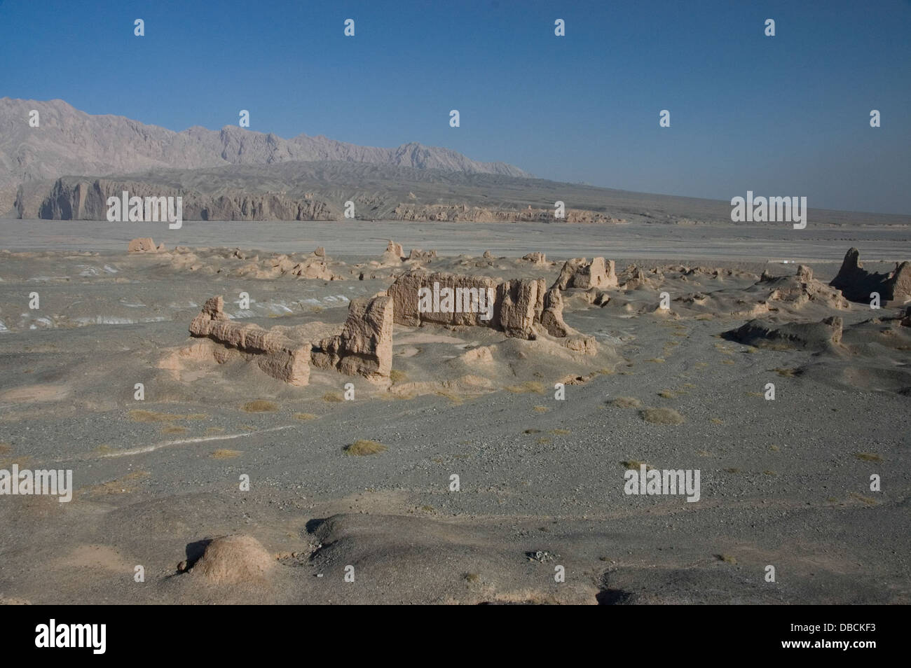 Subashi BLP467 PHOTO1187 2 349 Stock Photo - Alamy