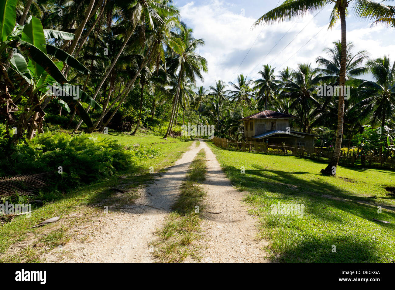 Rural Country Road on Bohol Island, Philippines Stock Photo - Alamy