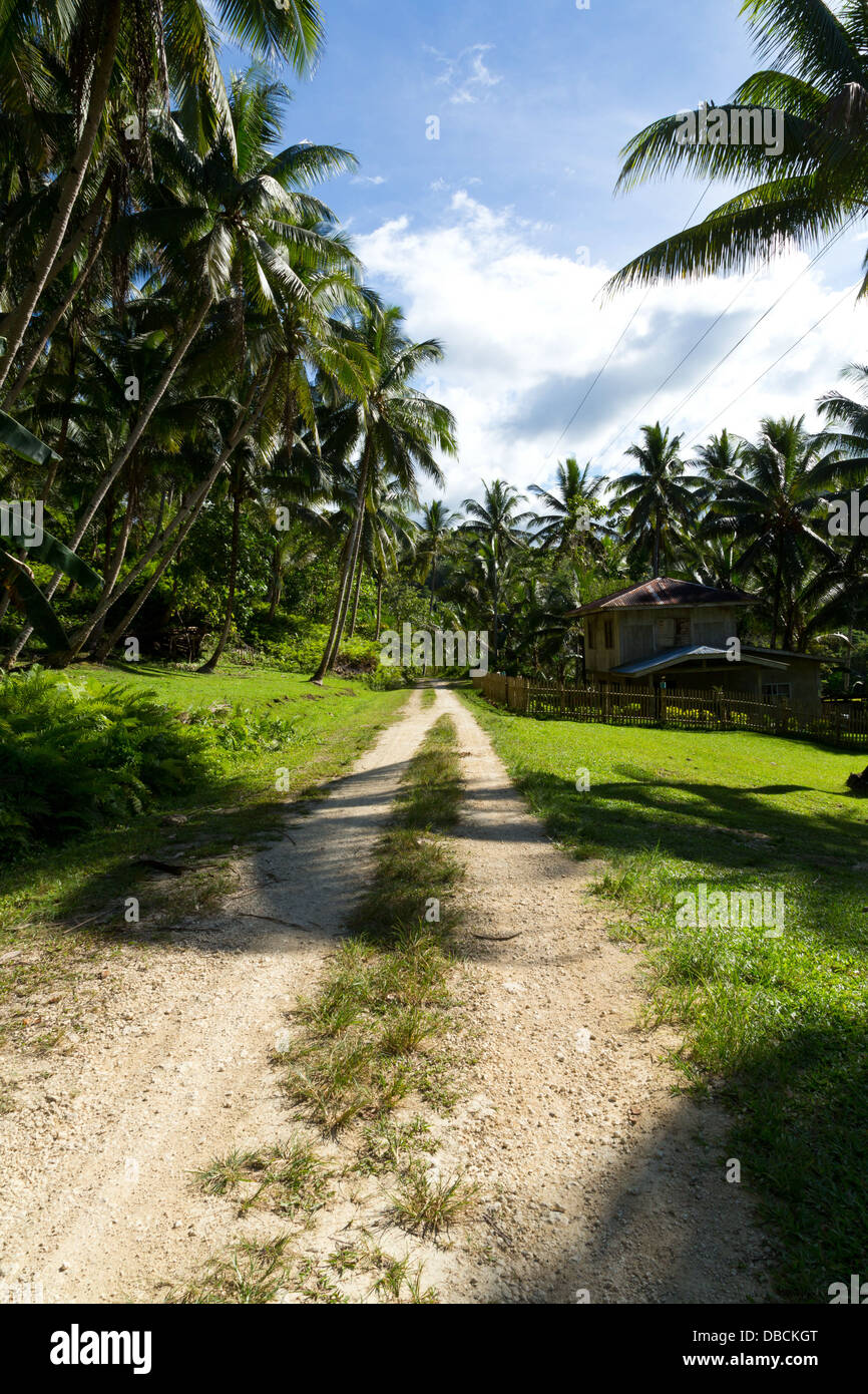 Rural Country Road on Bohol Island, Philippines Stock Photo - Alamy