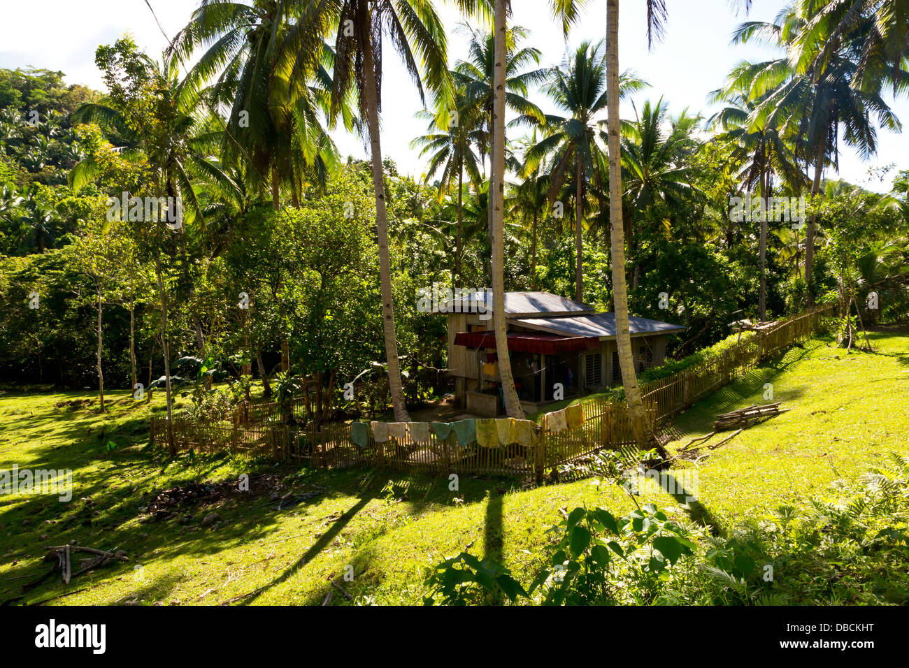 Tropical Landscape in the Countryside on Bohol Island, Philippines ...