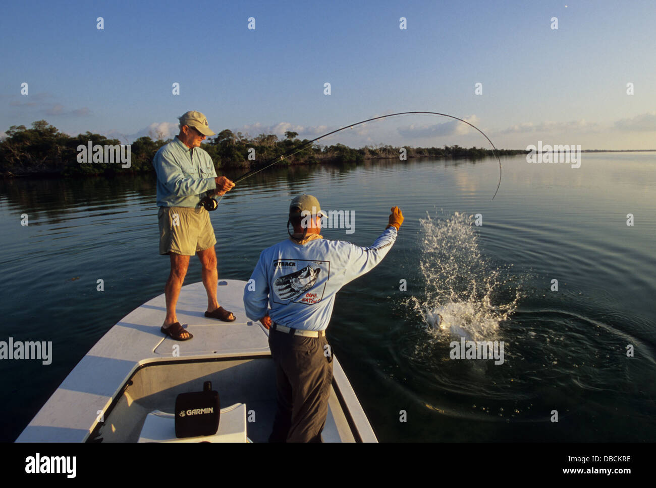 Anglers fighting a jumping tarpon (Megalops Atlanticus) caught while ...