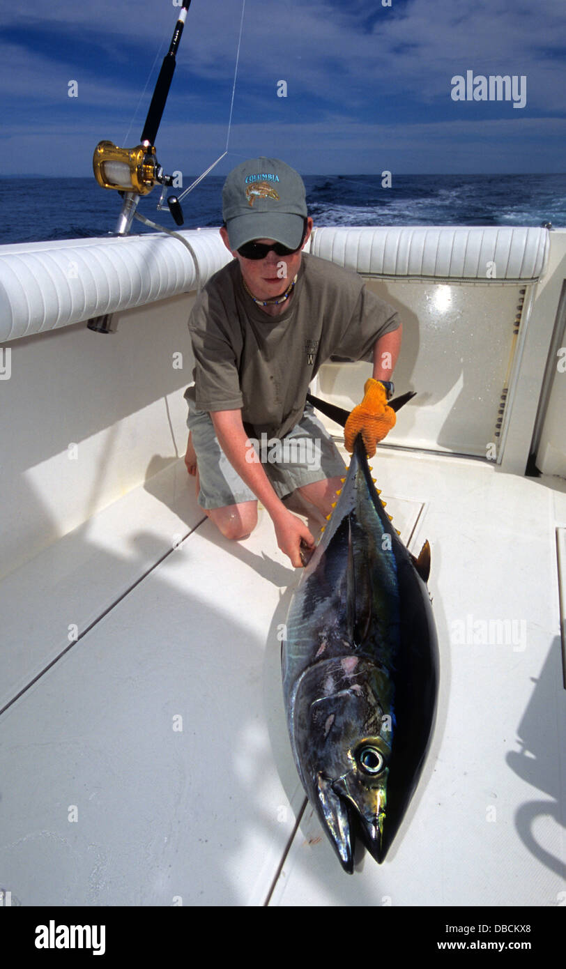 Young boy with a yellowfin tuna (Thunnus albacares) caught trolling ...