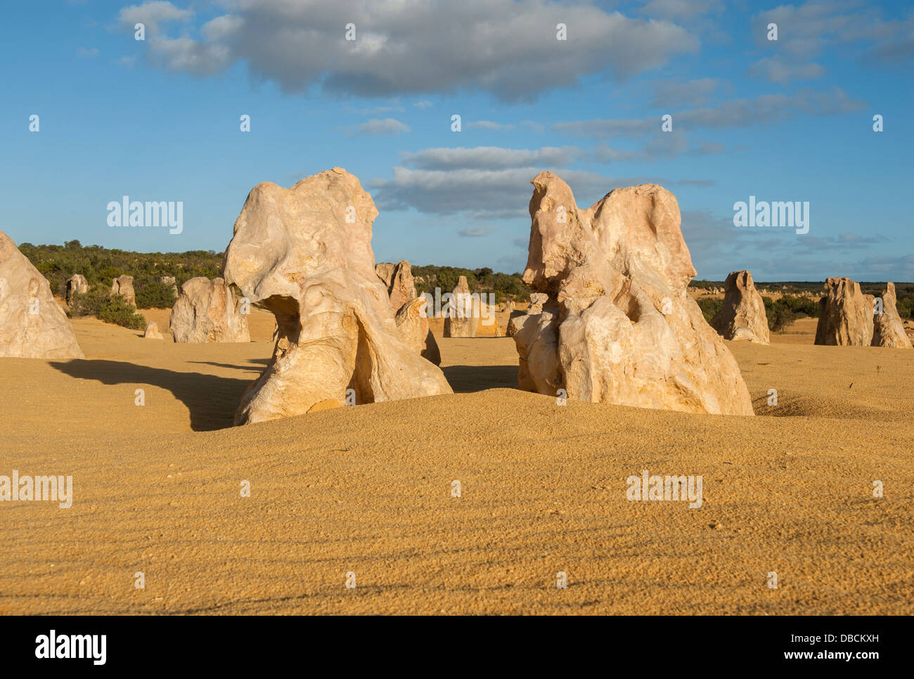 Sandstone pillars of the Pinnacles Desert in the heart of the Nambung ...