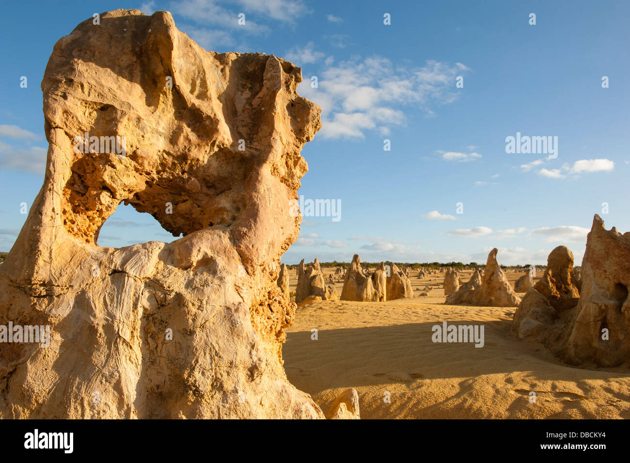 Sandstone pillars of the Pinnacles Desert in the heart of the Nambung ...