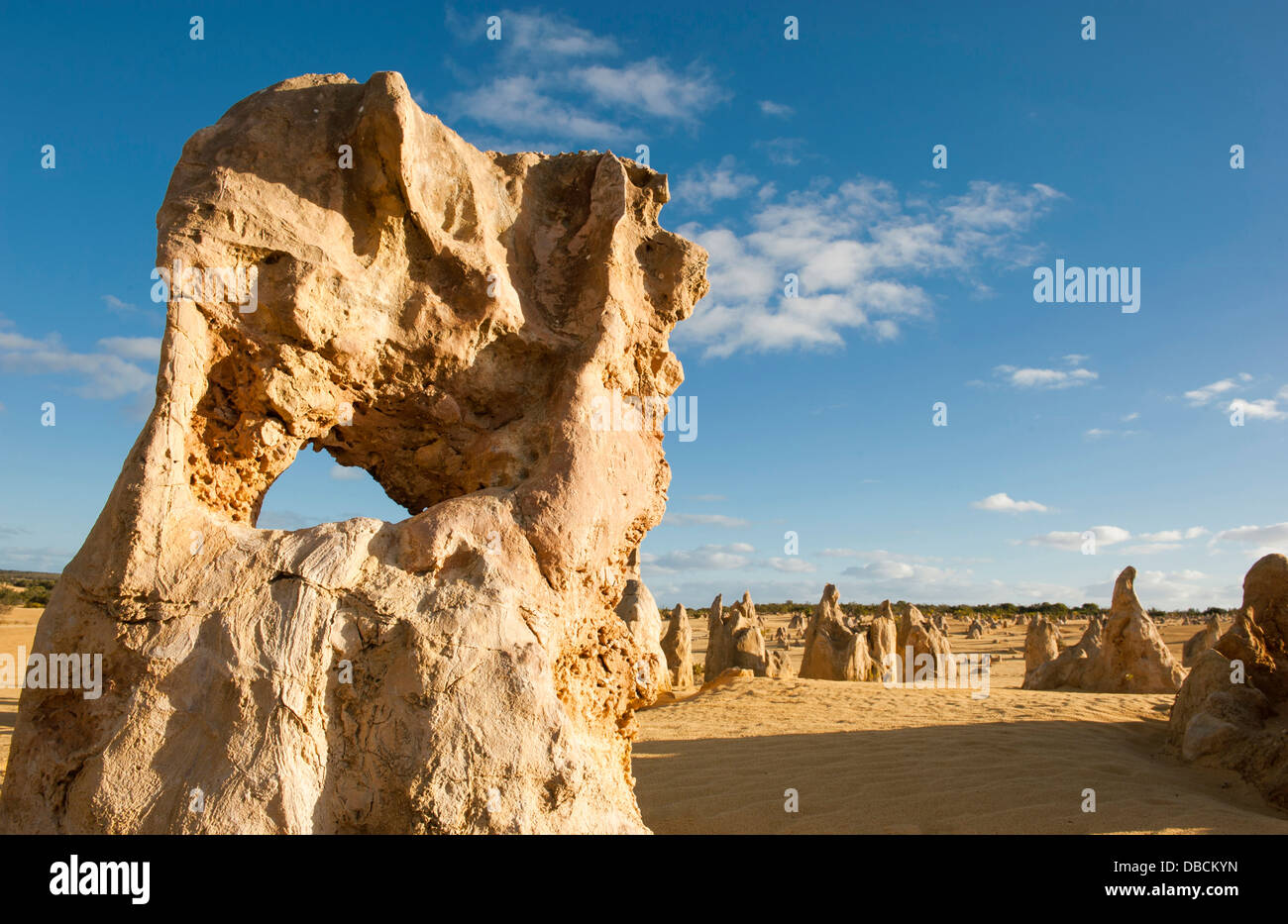 Sandstone pillars of the Pinnacles Desert in the heart of the Nambung ...