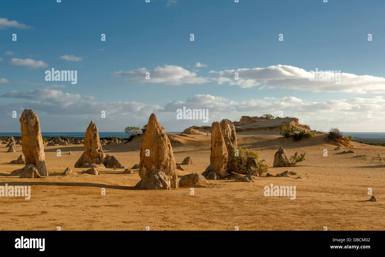 Sandstone pillars of the Pinnacles Desert in the heart of the Nambung ...