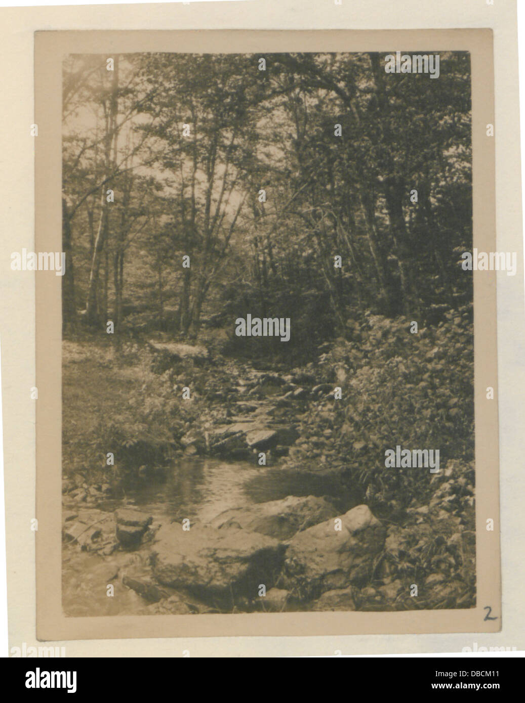 A photograph of a scenic gorge, showcasing its natural beauty and ...