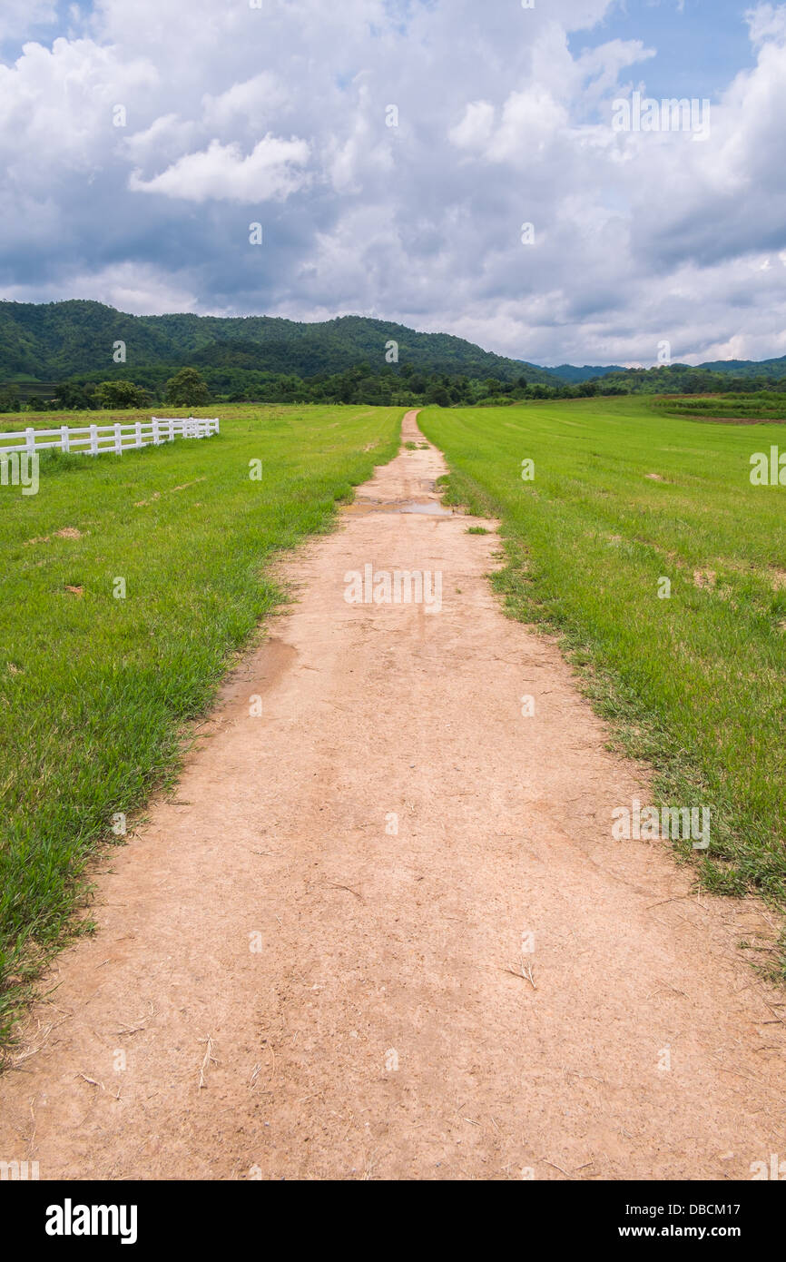 Road farm field hi-res stock photography and images - Alamy
