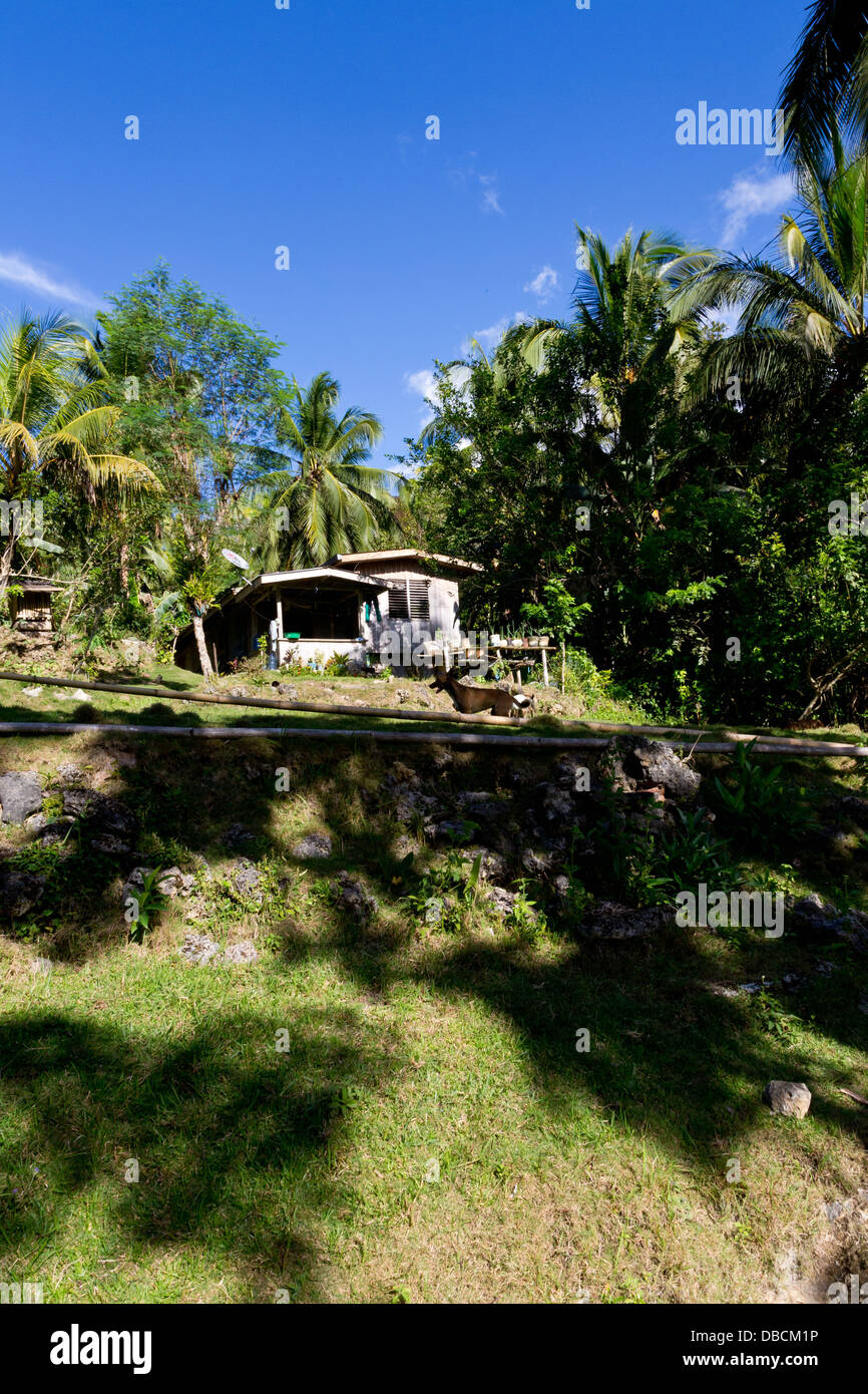 Tropical Landscape in the Countryside on Bohol Island, Philippines ...