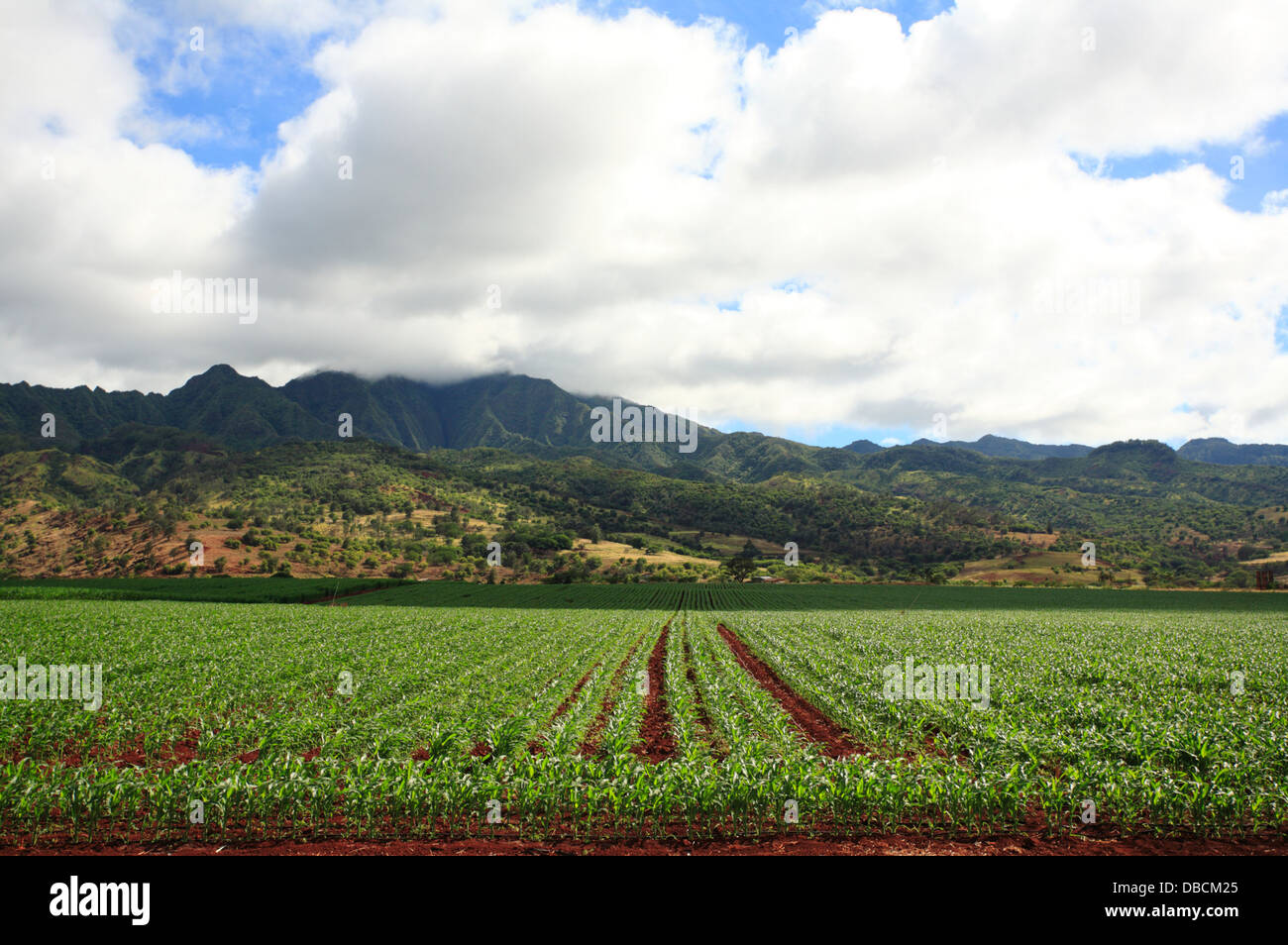 NORTH SHORE, OAHU, HAWAII, 27th July, 2013. A view of the Waianae ...
