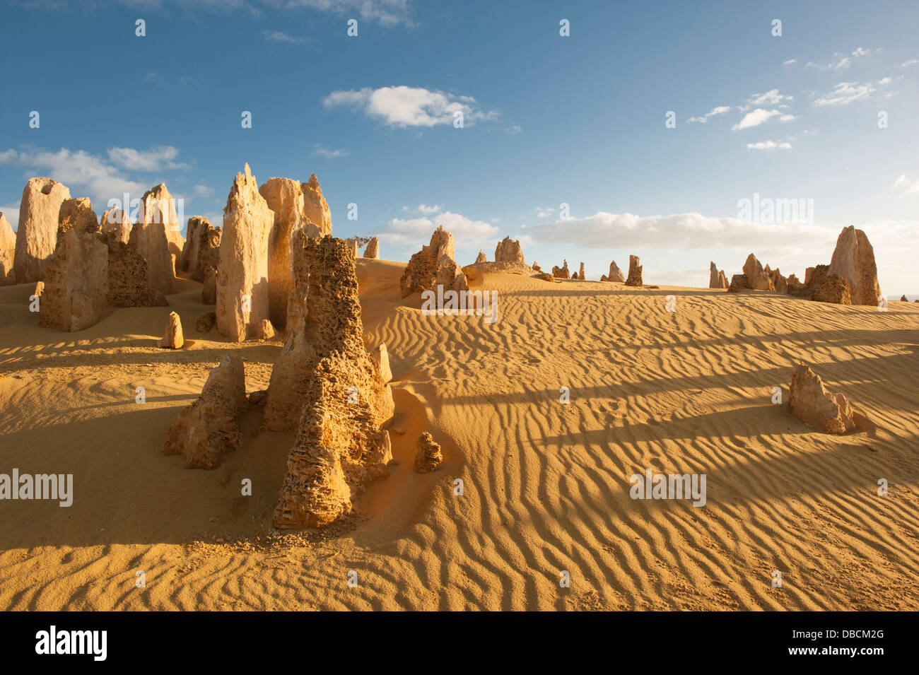 Sandstone pillars of the Pinnacles Desert in the heart of the Nambung ...