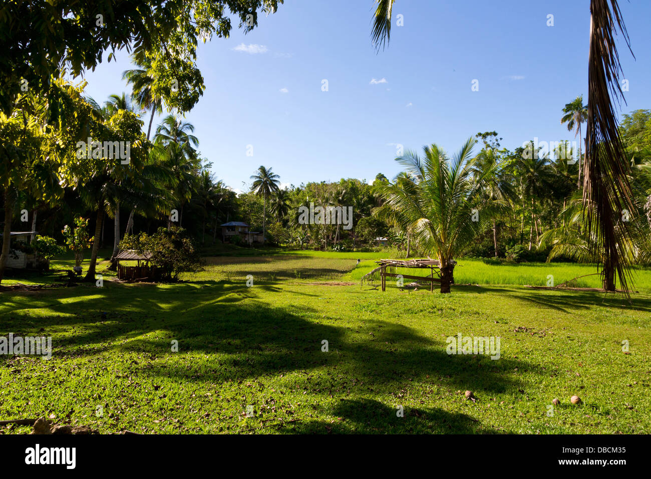 Typical Landscape on Bohol Island, Philippines Stock Photo - Alamy
