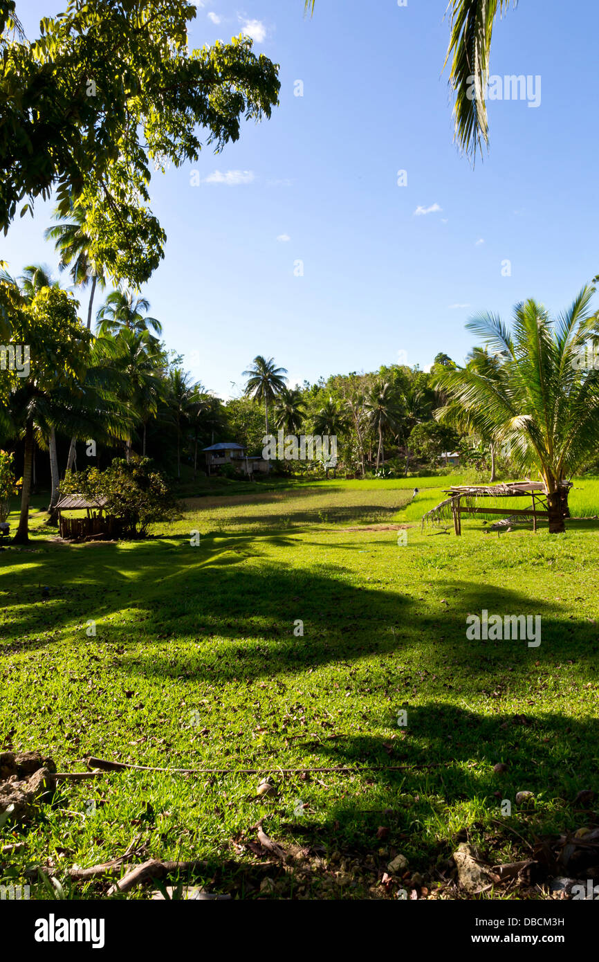Typical Landscape on Bohol Island, Philippines Stock Photo - Alamy
