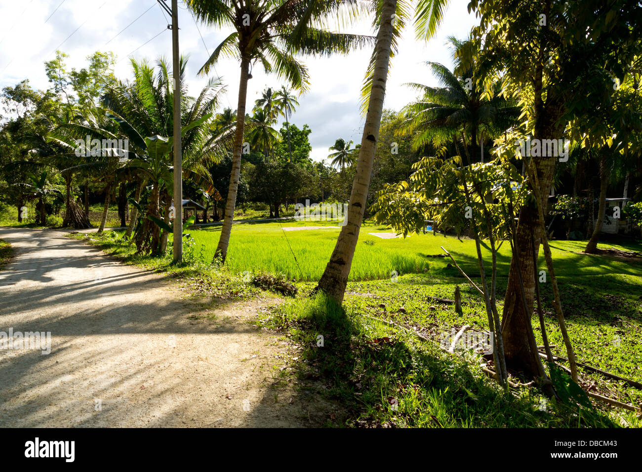 Tropical Landscape in the Countryside on Bohol Island, Philippines ...