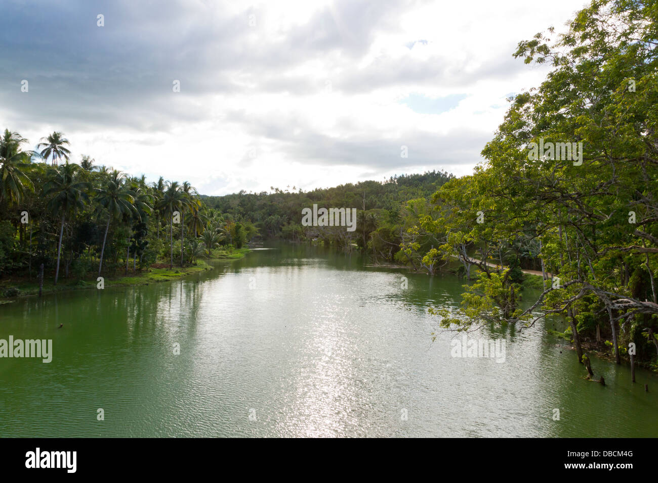 View over a River on Bohol Island, Philippines Stock Photo - Alamy