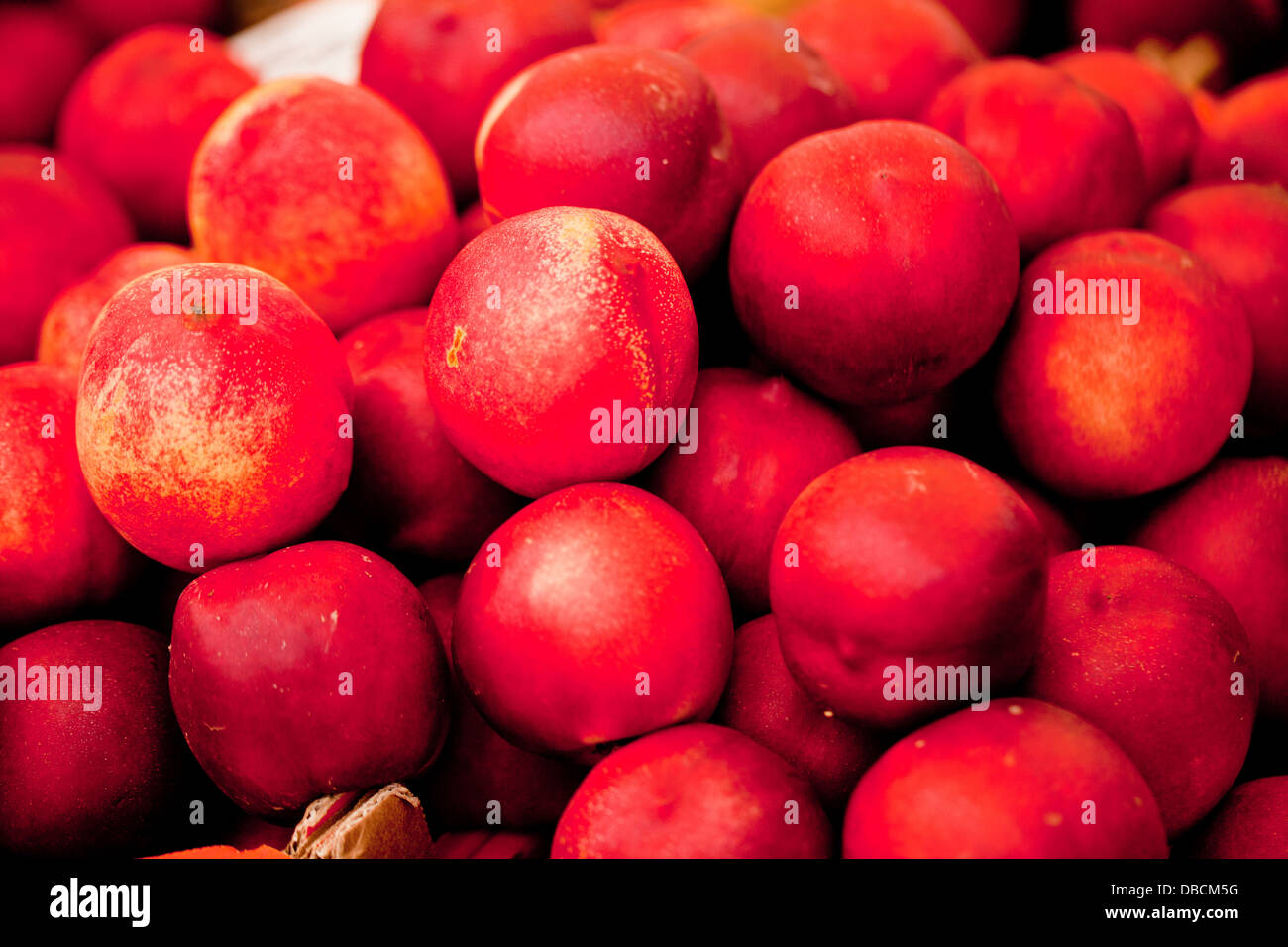fresh orange red apricots peaches macro closeup on market summer Stock ...