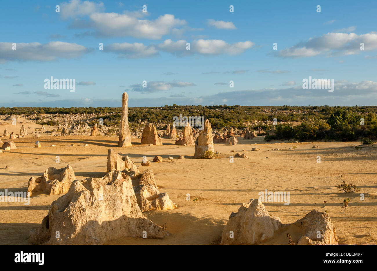 Sandstone pillars of the Pinnacles Desert in the heart of the Nambung ...