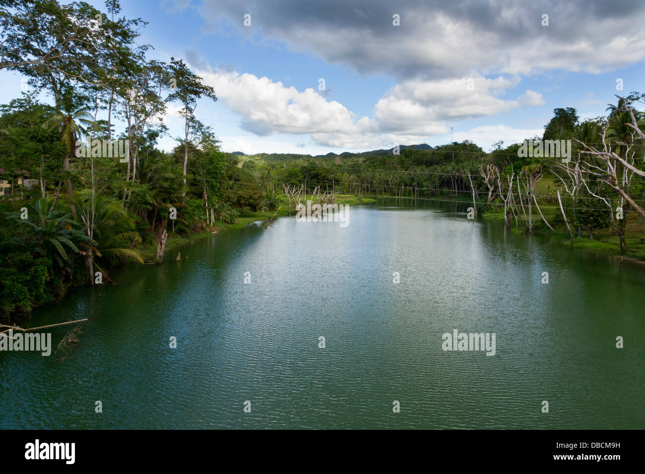 View over a River on Bohol Island, Philippines Stock Photo - Alamy