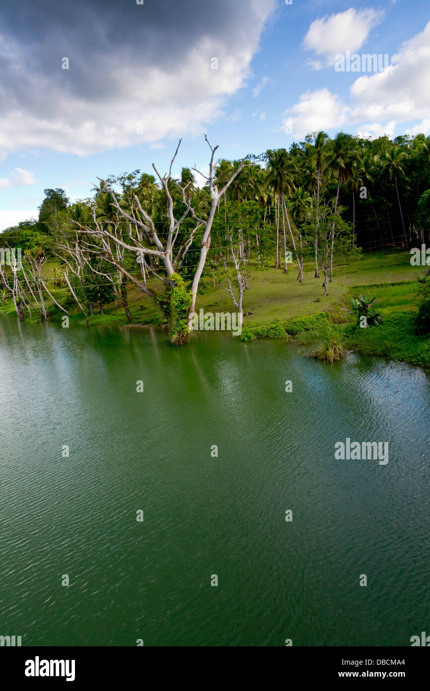 View over a River on Bohol Island, Philippines Stock Photo - Alamy