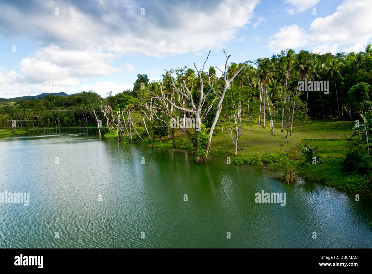 View over a River on Bohol Island, Philippines Stock Photo - Alamy