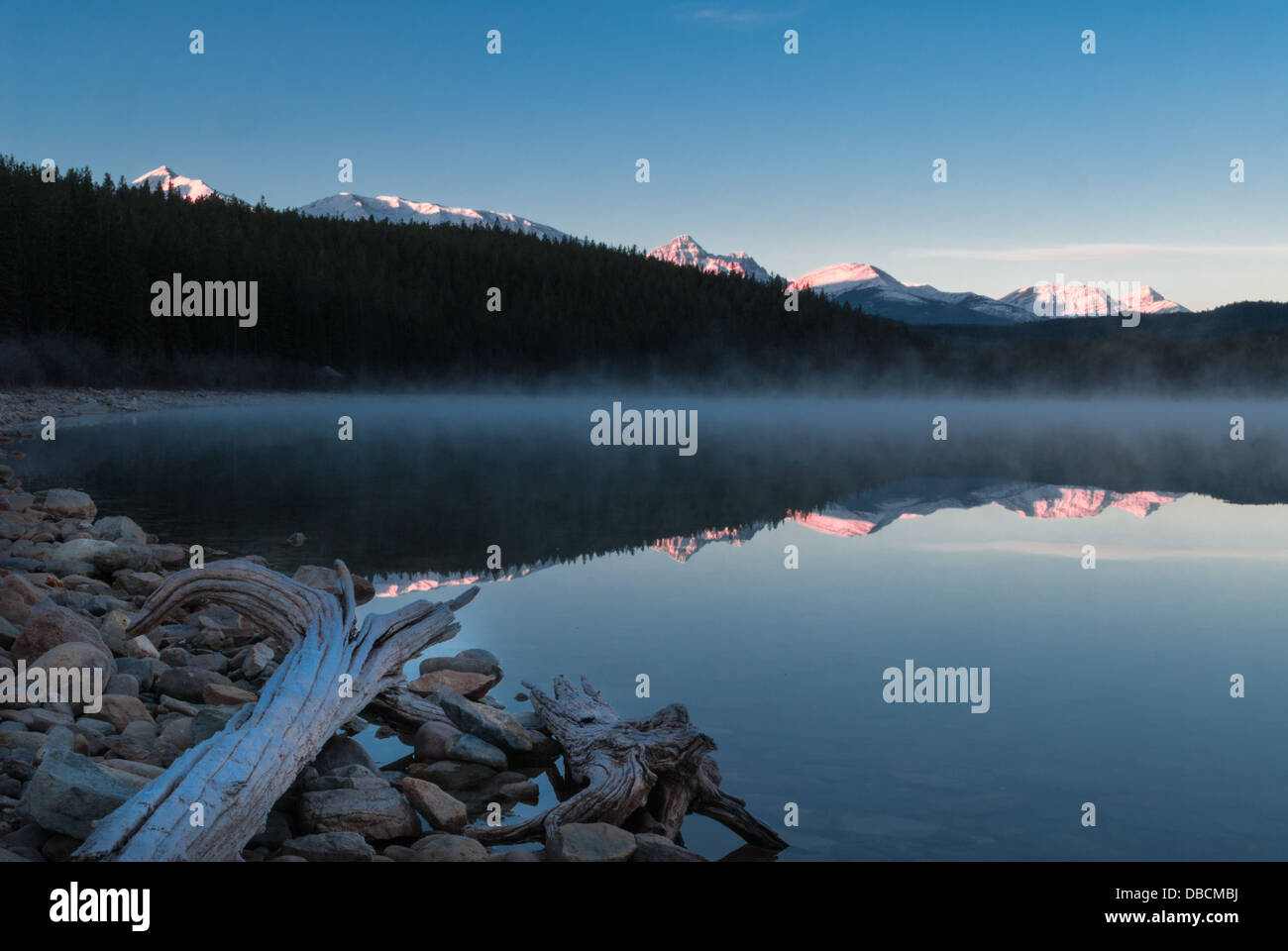 Patricia Lake in the early morning with mist and reflections of pink ...