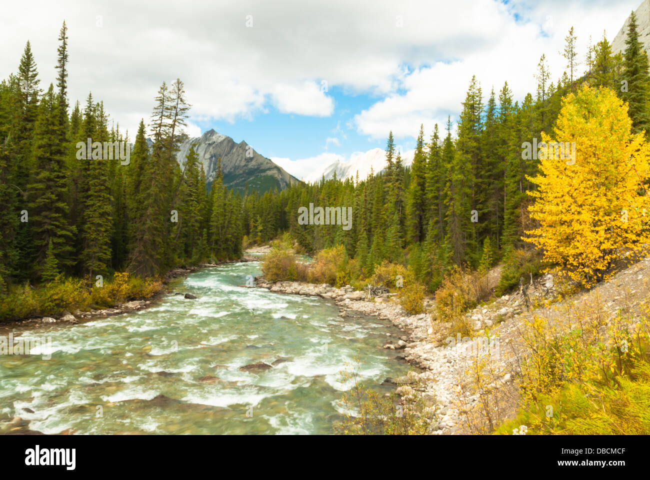 Maligne River in Jasper National Park, Alberta, with fall foliage and ...