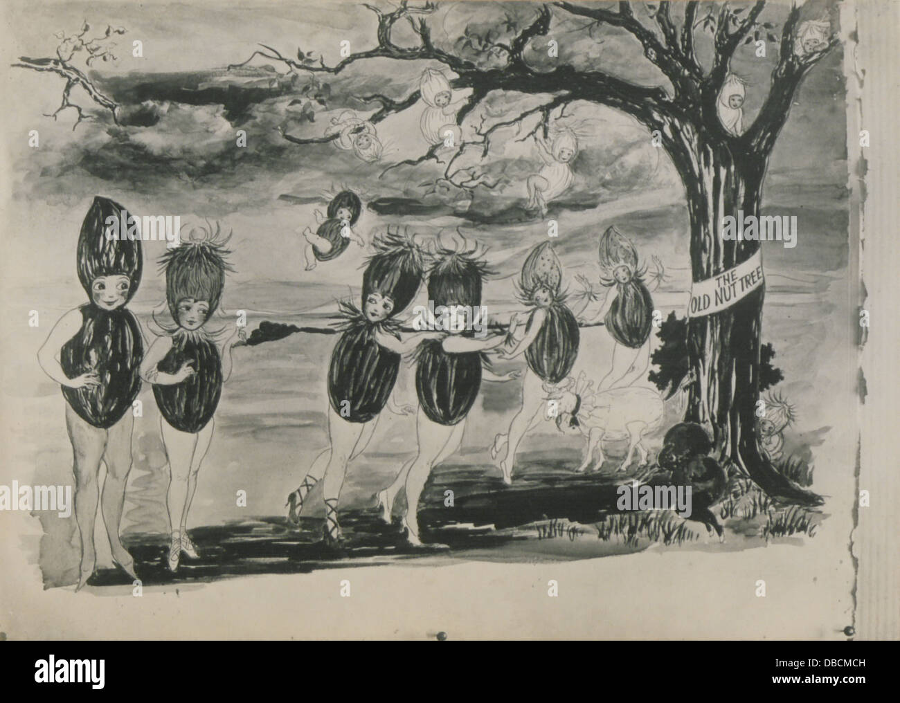 The image depicts an old nut tree, showcasing its age and significance ...