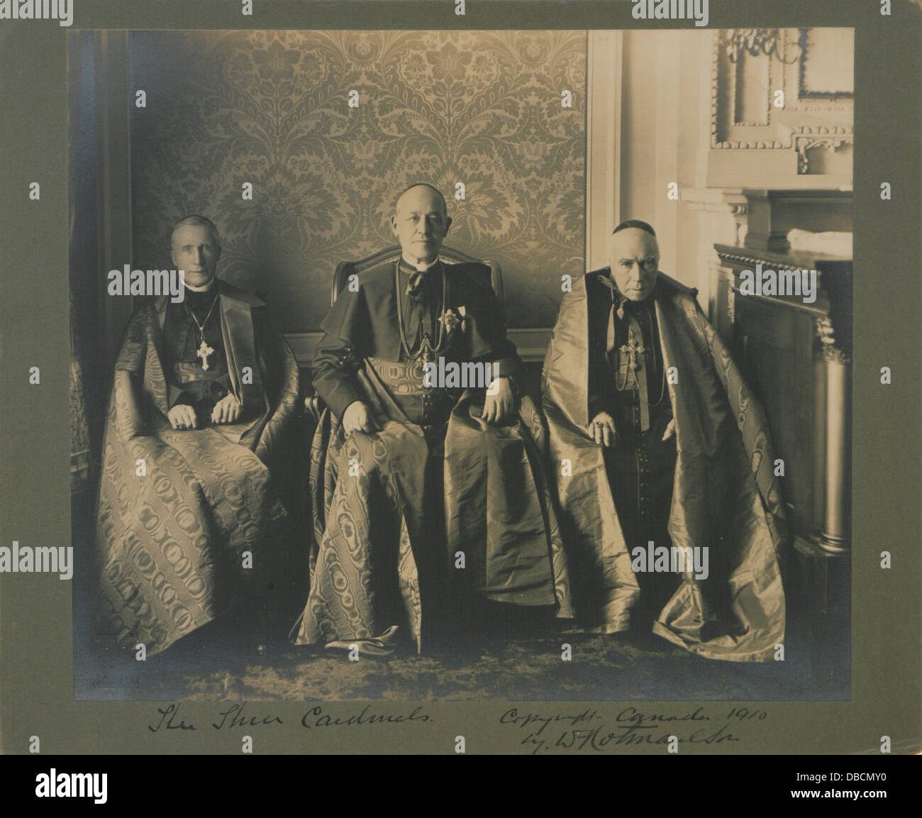 A photograph showing three cardinal birds, likely perched or ...