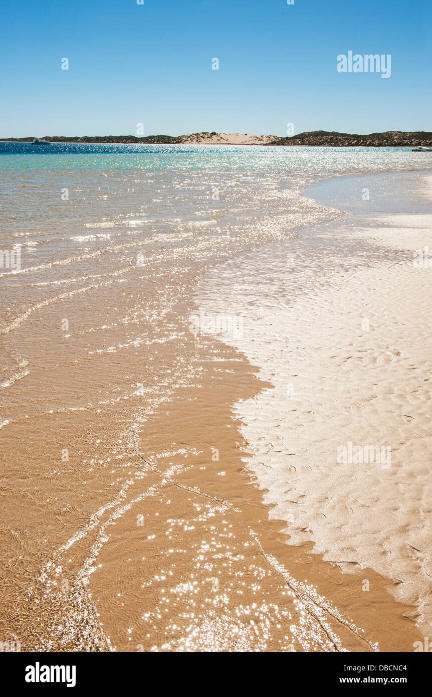Ningaloo reef coral hi-res stock photography and images - Alamy