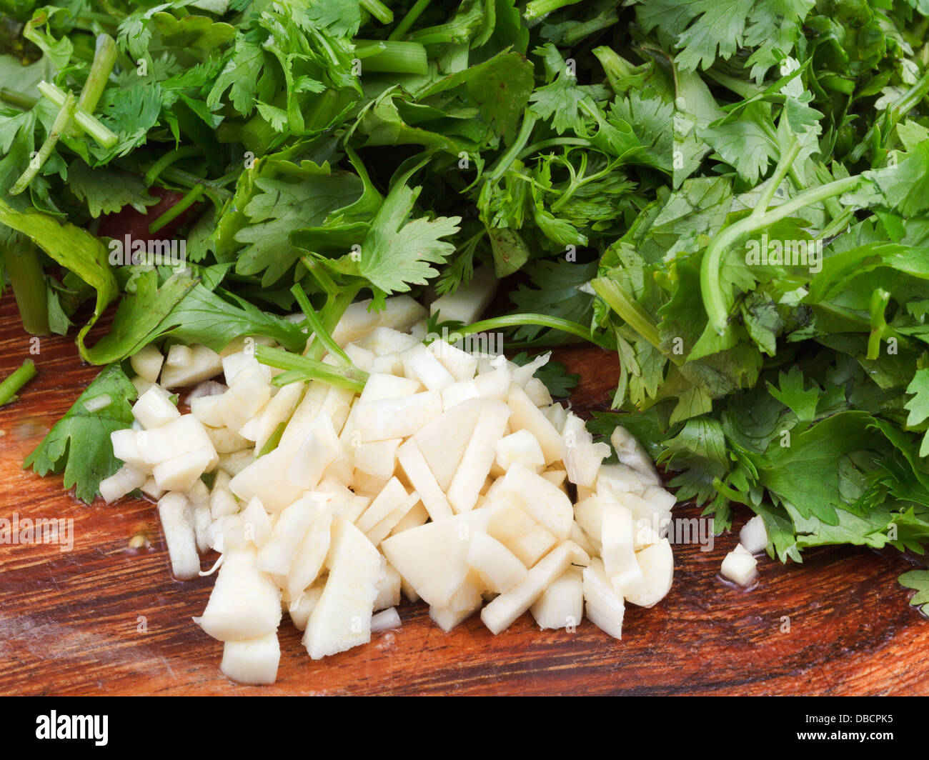 A cilantro sprig hi-res stock photography and images - Alamy