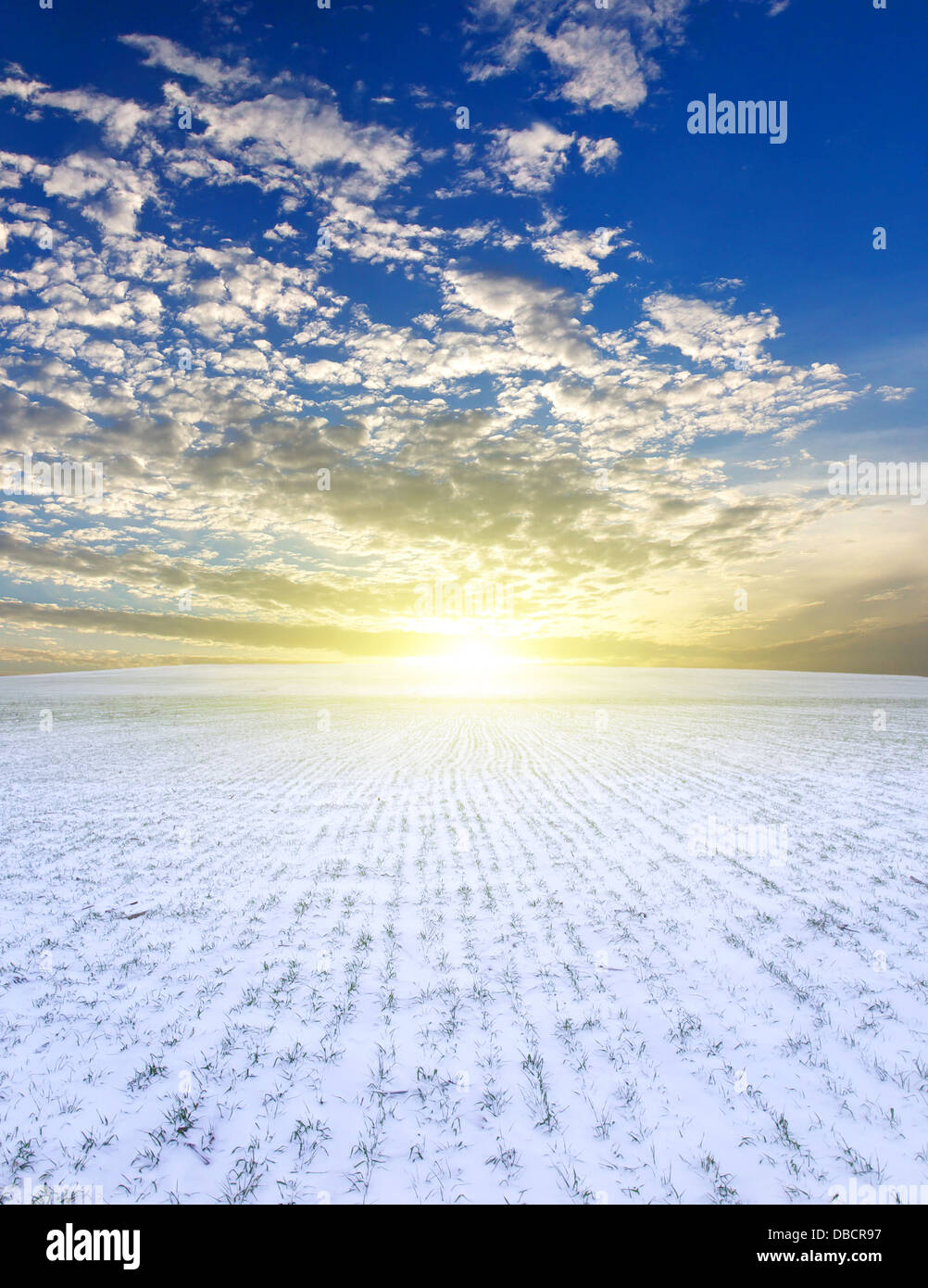 Field in the winter time Stock Photo - Alamy