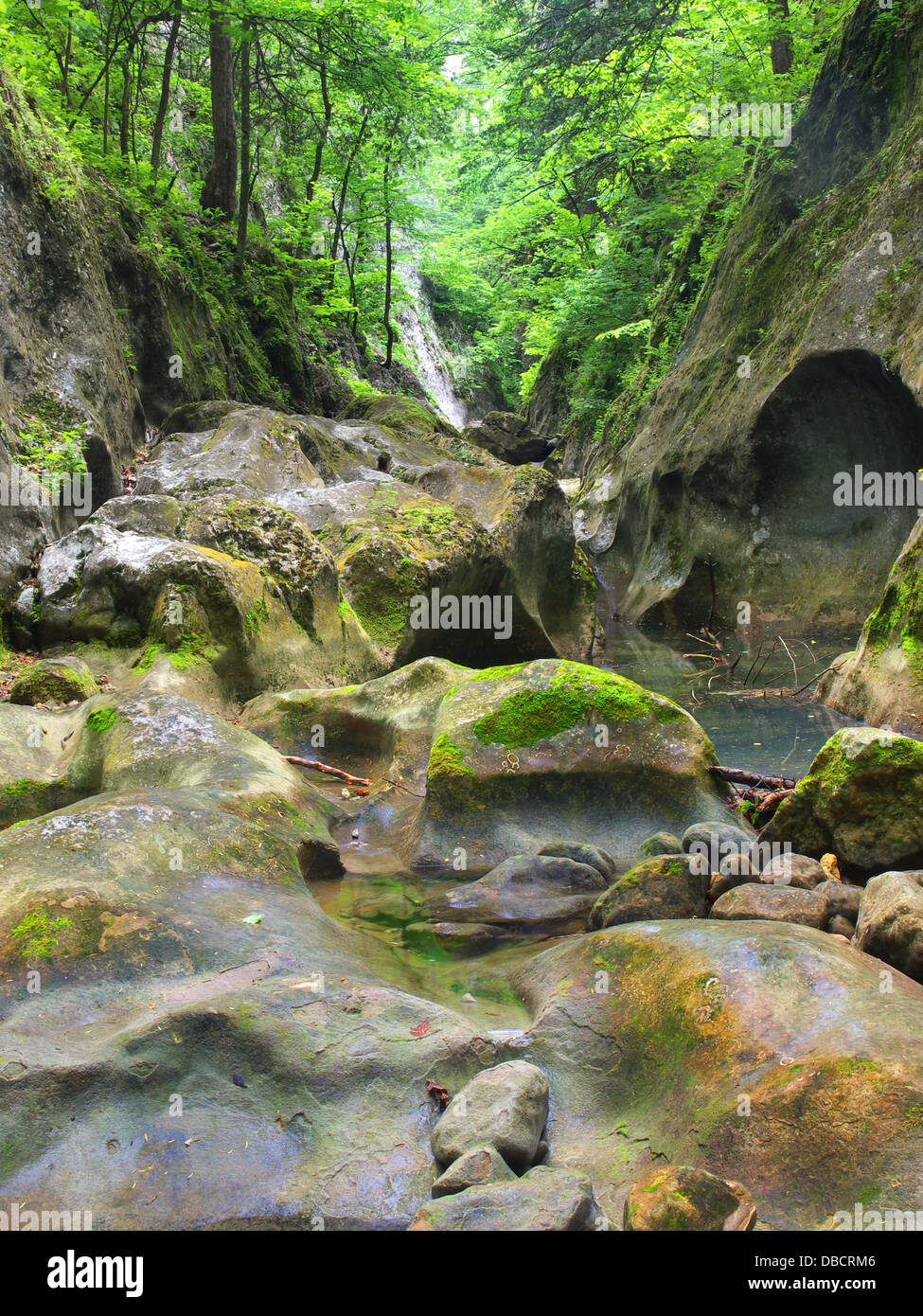 Canyon in the summer time Stock Photo - Alamy