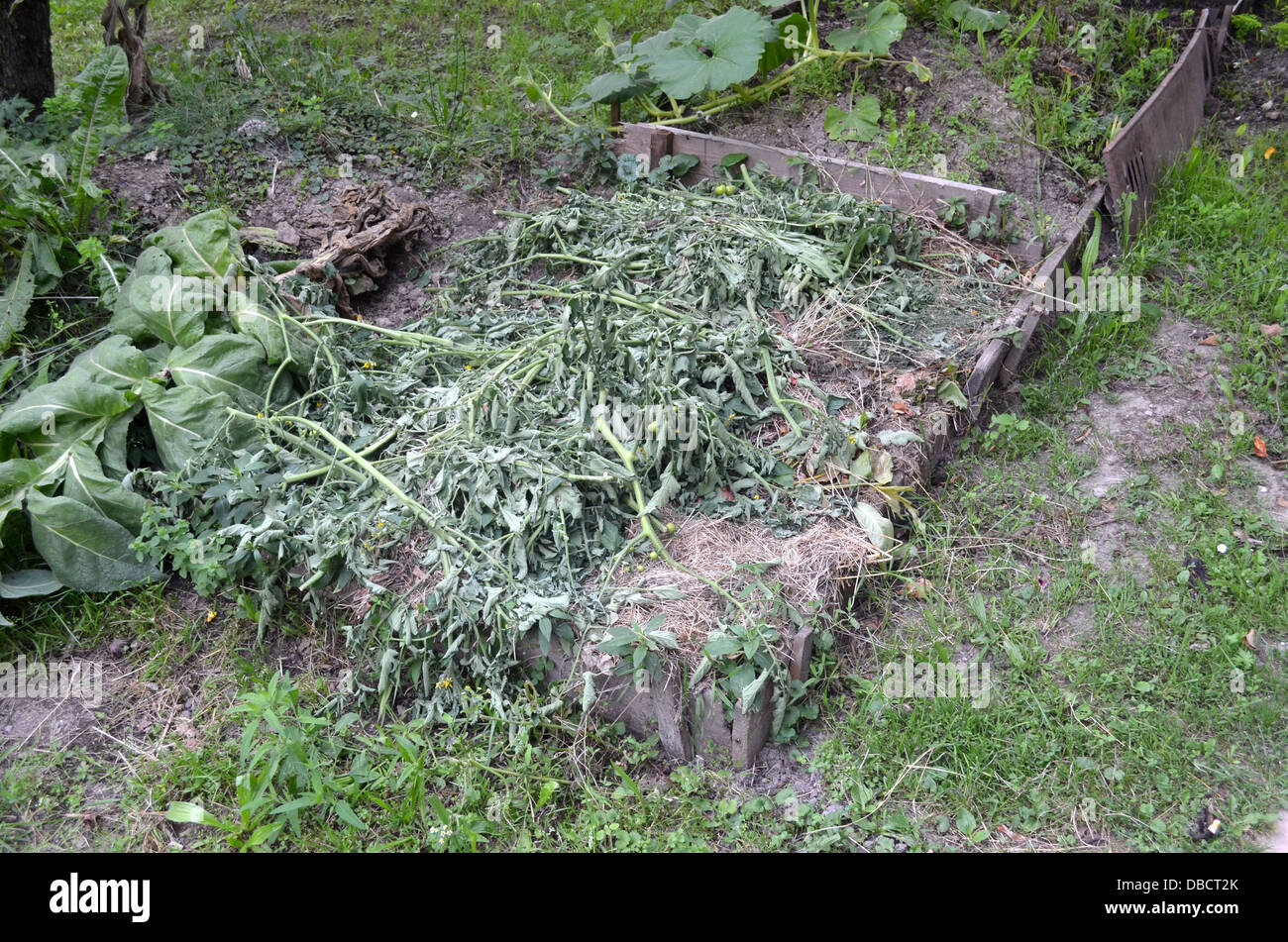 Compost with rotten vegetables and plants Stock Photo - Alamy