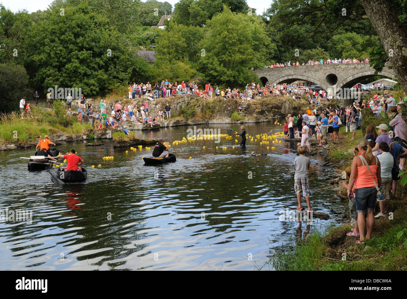 Coracle men collecting plastic ducks from the Teifi River at the end of ...