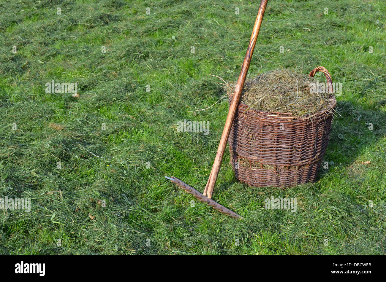 Inside the basket hi-res stock photography and images - Alamy