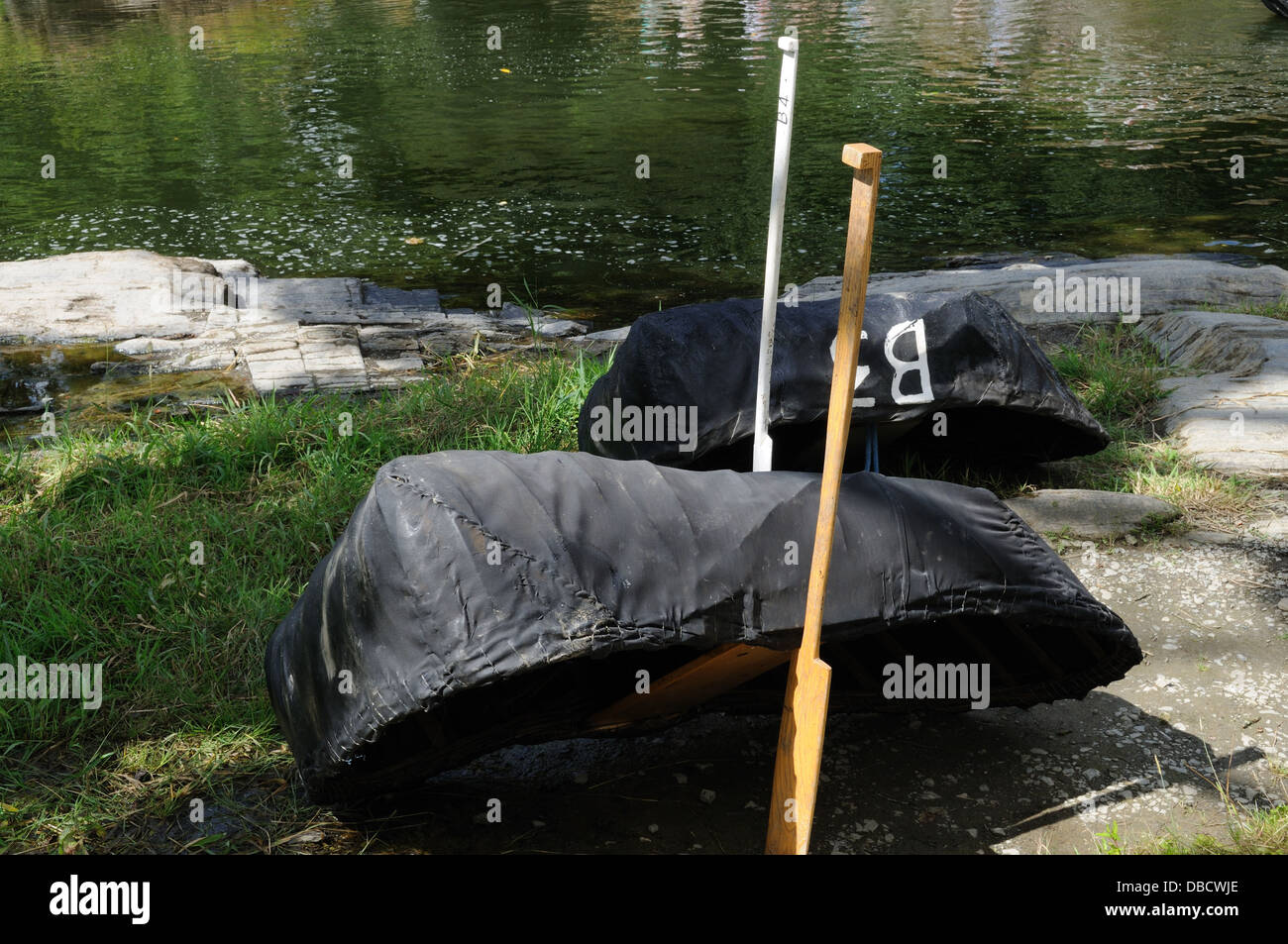 Two coracles propped up on their oars on the back of the Teifi River at ...