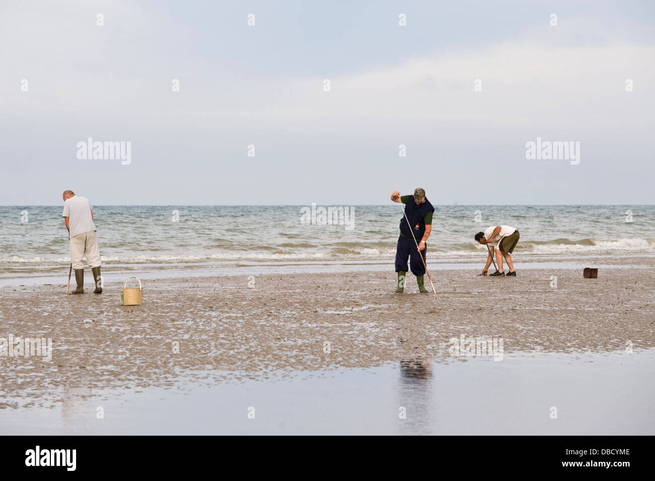 Bait digging beach hi-res stock photography and images - Alamy