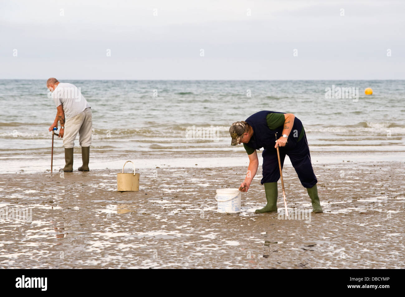 Man digging fishing bait on hi-res stock photography and images - Alamy
