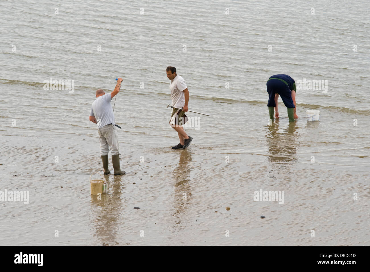 Worm diggers hi-res stock photography and images - Alamy