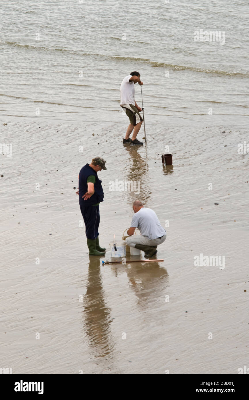 Worm diggers hi-res stock photography and images - Alamy
